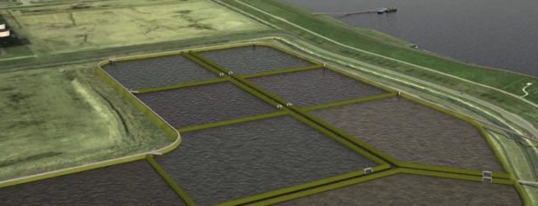 Waterschap start werkzaamheden Brede Groene Dijk - Groninger Krant